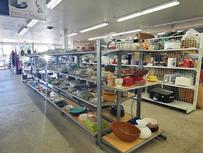 The kitchenware section: where someone's discarded pasta bowl becomes your family's new heirloom for Sunday dinners.