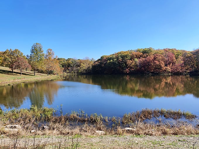 Fall's fashion show on full display. Nature dresses in its autumn best around the lake, creating a masterpiece worthy of a gallery wall.