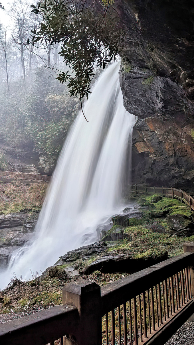 Looking up at liquid poetry in motion - some perspectives make you feel wonderfully small in the best way.