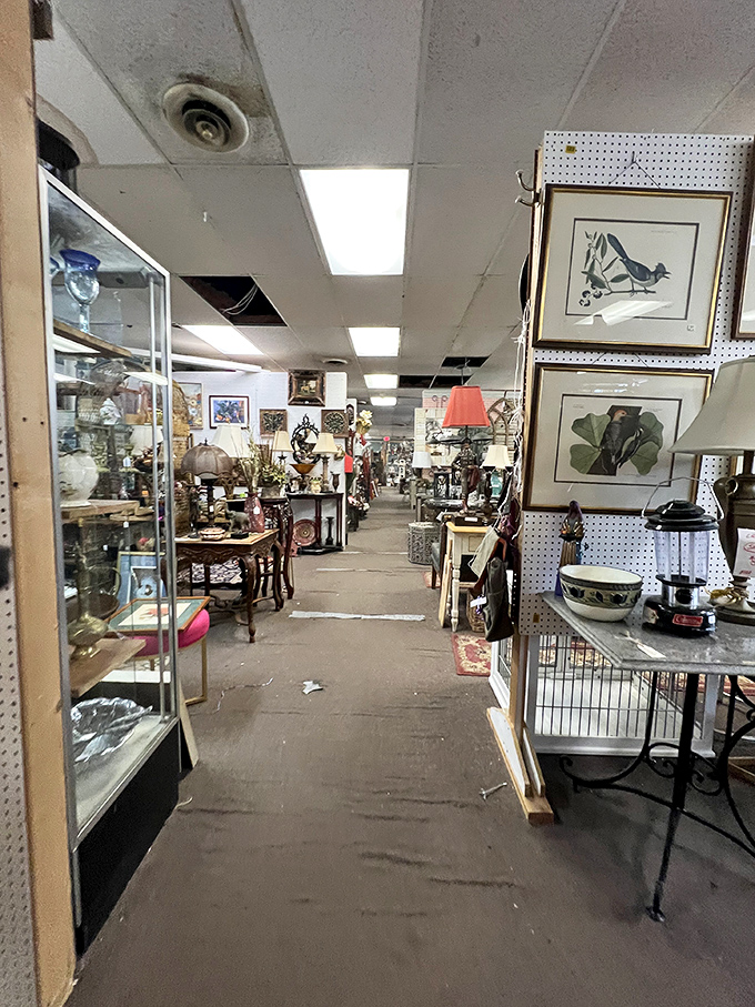 Navigation tip: If you find yourself lost between the vintage telephones and that mysterious bronze statue, you're doing it exactly right.