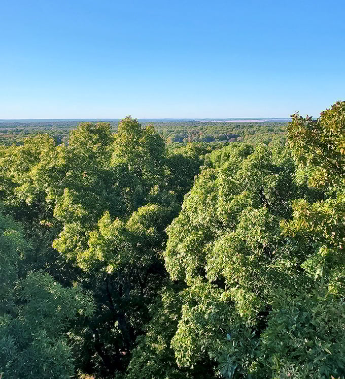 A sea of green stretches to the horizon, reminding us that Indiana isn't just cornfields&mdash;it's a verdant paradise waiting to be explored.