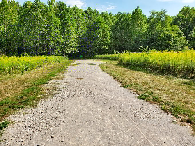 Wildflowers stand guard along this inviting trail. They're nature's version of the yellow brick road, minus the flying monkeys.