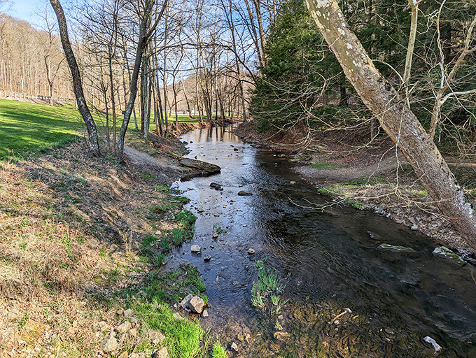 Follow this babbling creek and you'll understand why people wrote poetry before Netflix existed.