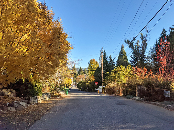 Fall paints Nevada City's residential streets with a golden brush. These tree-lined neighborhoods offer a peaceful retreat just steps from downtown's bustle.