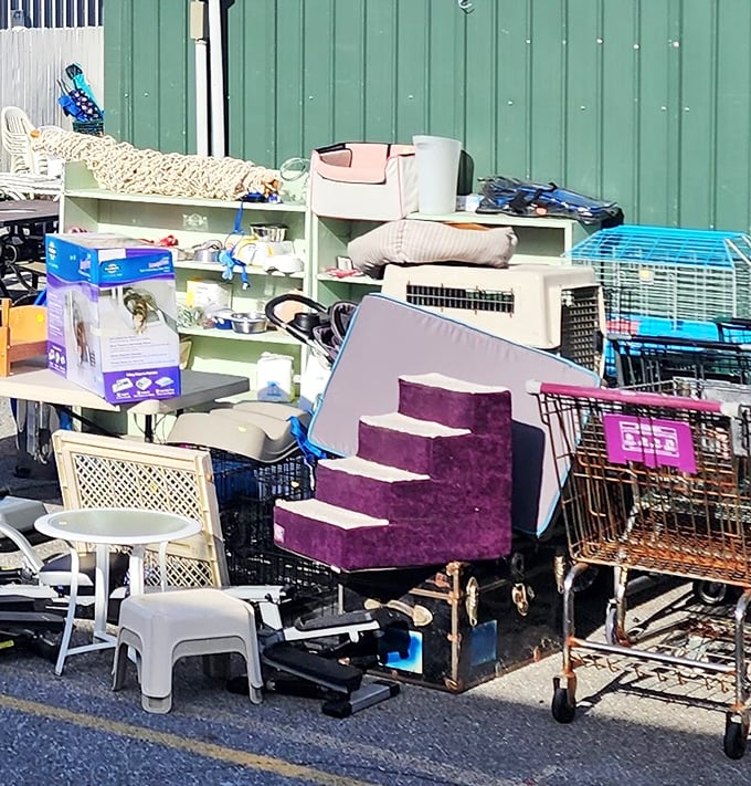 The outdoor overflow area: where one person's "I don't have room for this anymore" becomes another's "I've been looking everywhere for this!"