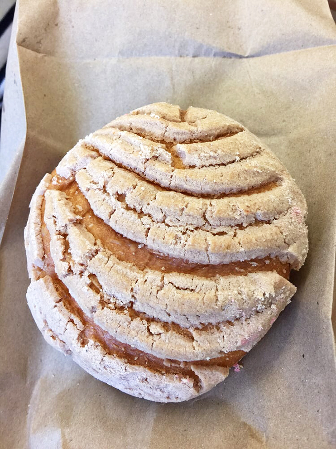 This concha's perfect spiral pattern and delicate sugar crust is the bakery equivalent of finding the Hope Diamond. One bite explains everything.