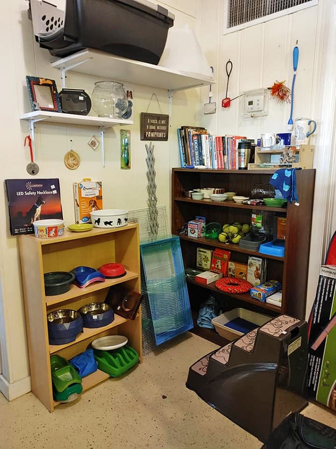 A pet paradise tucked into a corner. Even Fido deserves secondhand chic&mdash;those blue bowls have stories to tell.