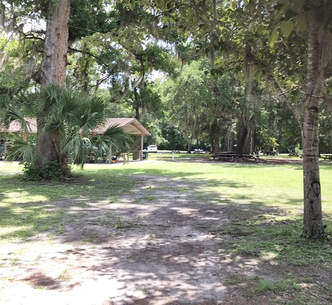 Dappled sunlight filters through ancient oaks in the picnic area, where generations of families have spread blankets and created memories between adventures.