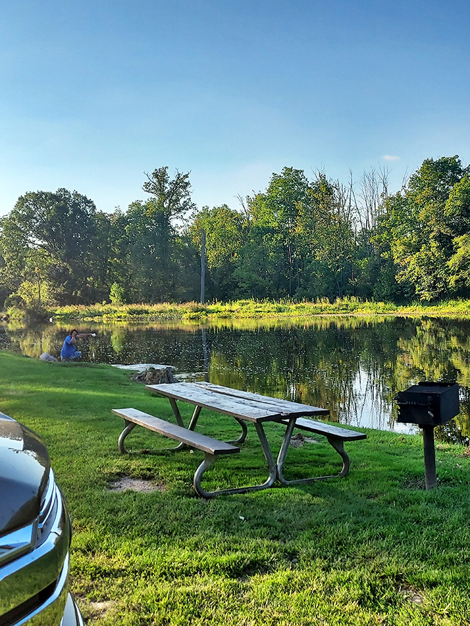 The perfect spot for contemplation. This riverside picnic area offers front-row seats to nature's show, complete with water reflections that rival any art gallery.