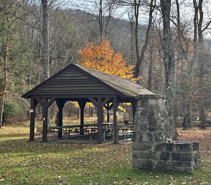 This rustic pavilion has witnessed more family reunions and birthday celebrations than a retirement home bulletin board. The stone fireplace tells stories if you listen closely.