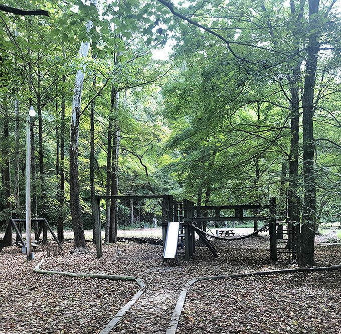 A playground where the real entertainment is the forest surrounding it. Kids' laughter here competes with birdsong in the best possible way.