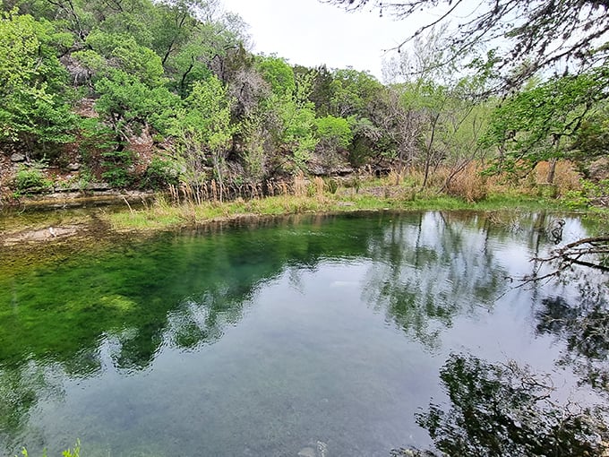 Emerald waters so clear you'd think someone snuck in overnight with a giant bottle of Windex.