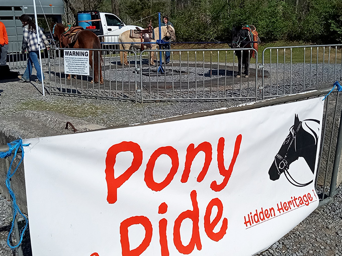 Childhood joy in its purest form! The pony ride area offers little ones a magical break from shopping&mdash;creating memories that last longer than any purchase.