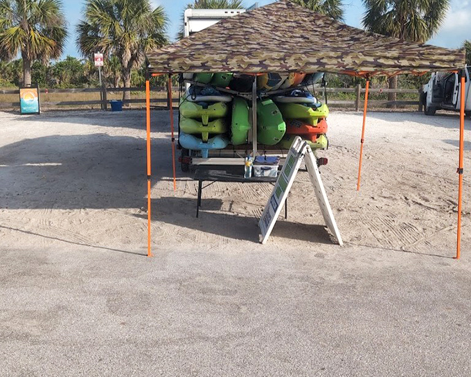 Your chariot awaits – colorful kayaks ready to transport you into Florida's green cathedral.