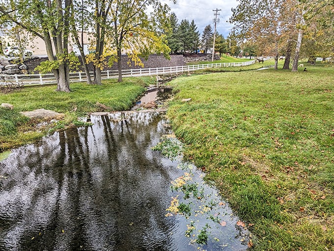 Nature's perfect frame: autumn leaves carpet the ground while the bridge's bold red color pops against the muted fall landscape.