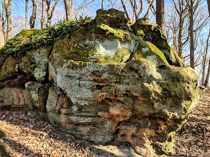 Nature's sculpture garden reveals itself on the trail. This ancient rock formation has weathered millennia, collecting moss like a geological fashion statement.
