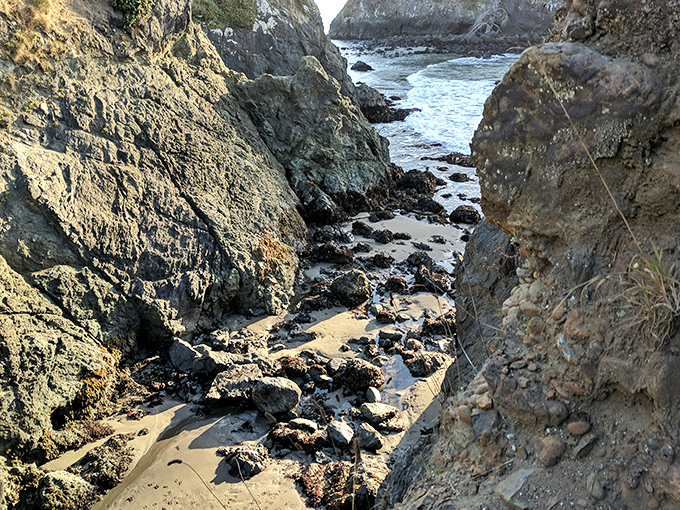 Nature's sculpture garden: Tidal forces have carved these coastal rocks into a dramatic showcase of geological artistry.
