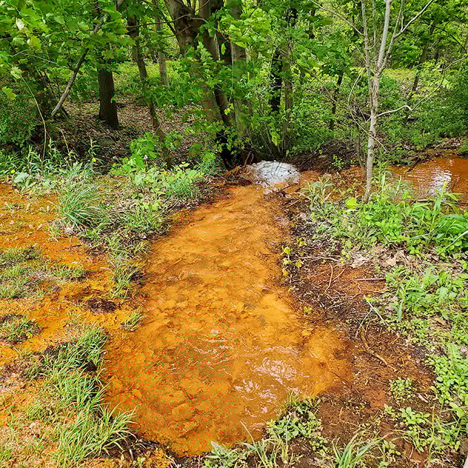 Iron-rich waters paint the landscape in rustic hues that would make any artist jealous.