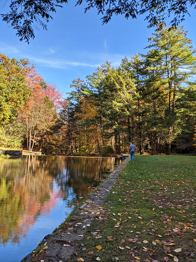 Autumn's masterpiece reflected in still waters. Like Bob Ross himself painted this scene, complete with "happy little trees" showing off their fall finery.
