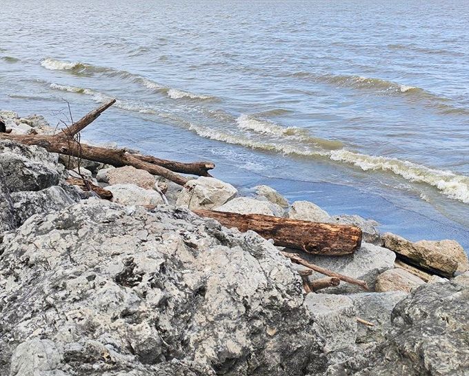 Where gentle waves whisper secrets to smooth stones polished by countless Lake Erie sunrises and sunsets.