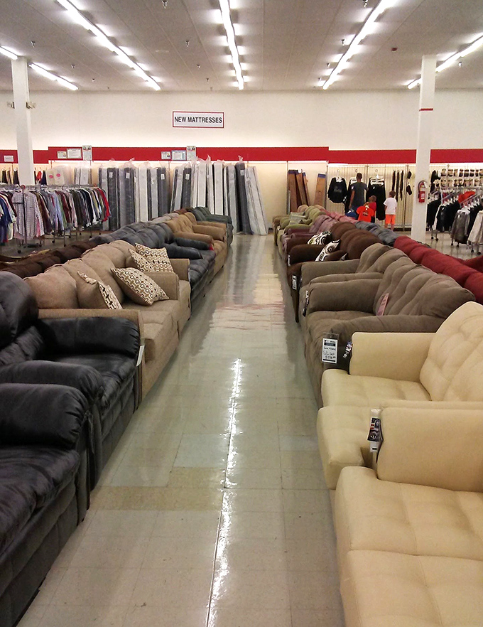 The sofa showdown: two rows of comfy contenders face off, each vying to become the centerpiece of someone's living room.