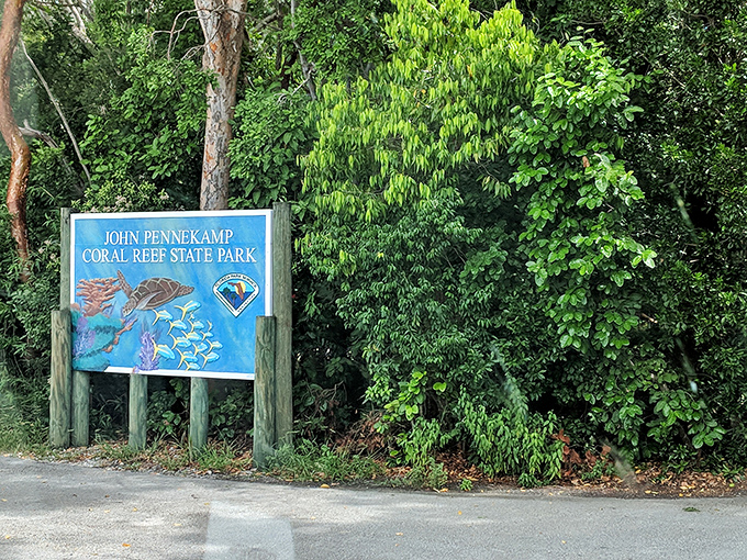 John Pennekamp Coral Reef State Park: where America's only living coral reef throws the underwater party of a lifetime.