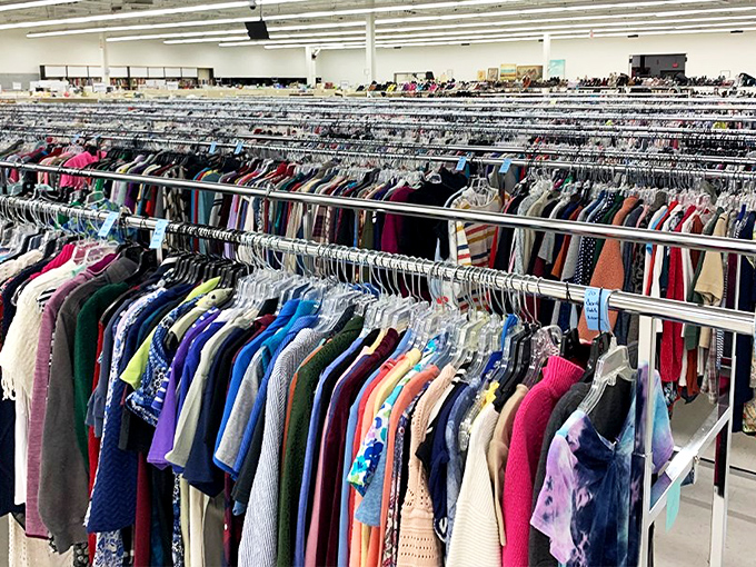When your grandmother's china collection meets modern thrift store efficiency - organized chaos at its finest.