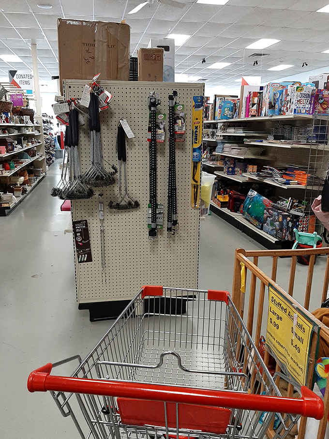 Every aisle tells a story. This shopping cart's about to embark on a journey through household gadgets that previous owners deemed unnecessary.