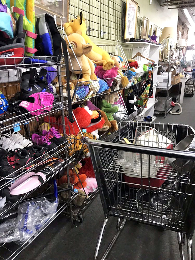 A wonderland of plush companions awaits adoption in the toy section, where forgotten teddy bears and colorful creatures hope for second chances in new homes.