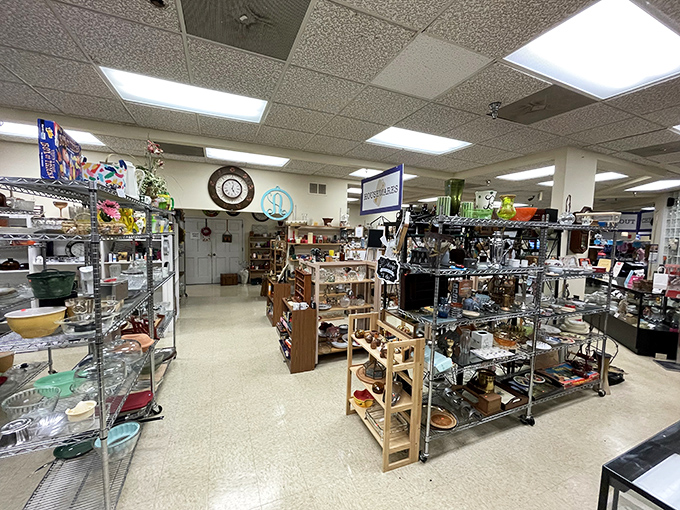 Housewares heaven stretches endlessly, where your grandmother's kitchen meets modern convenience in perfect retail harmony.