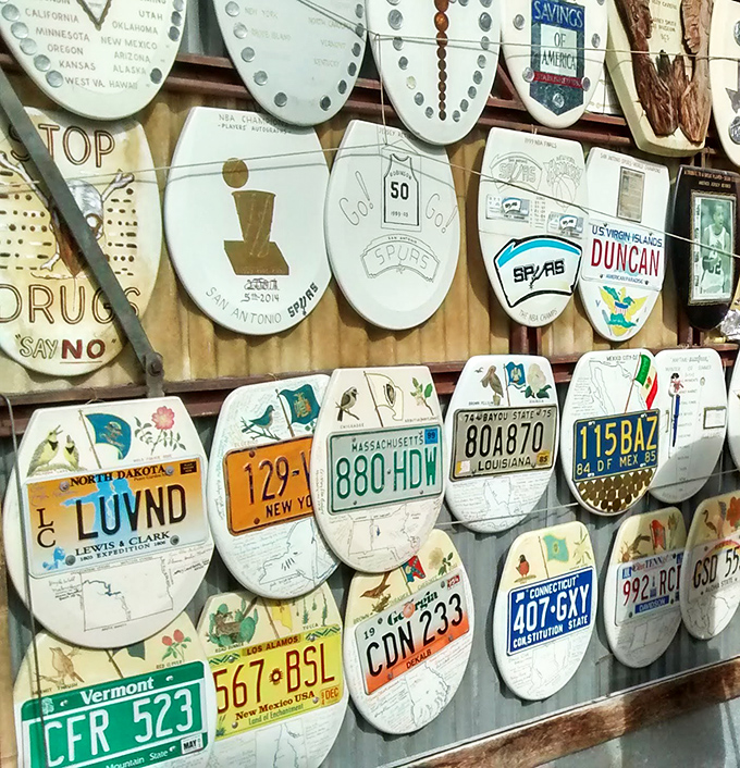 License plates from across America find new life as toilet seat art. A road trip across the country without leaving the bathroom.