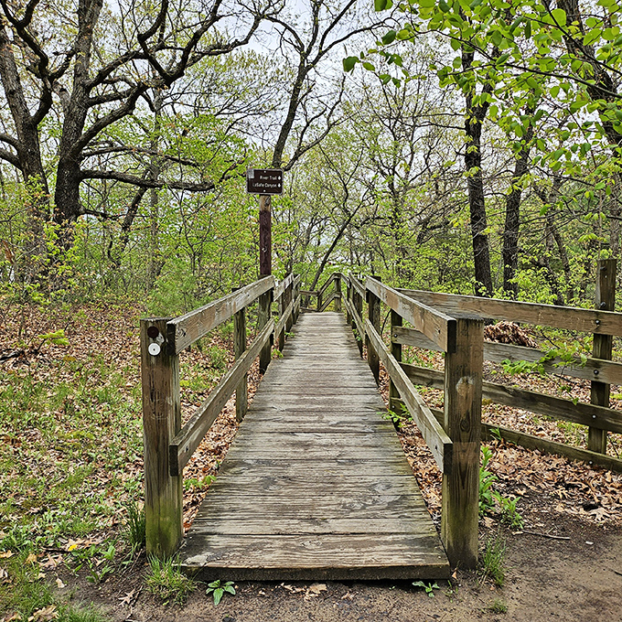 Not all who wander are lost, but this wooden bridge definitely helps keep it that way. Nature's welcome mat to adventure.