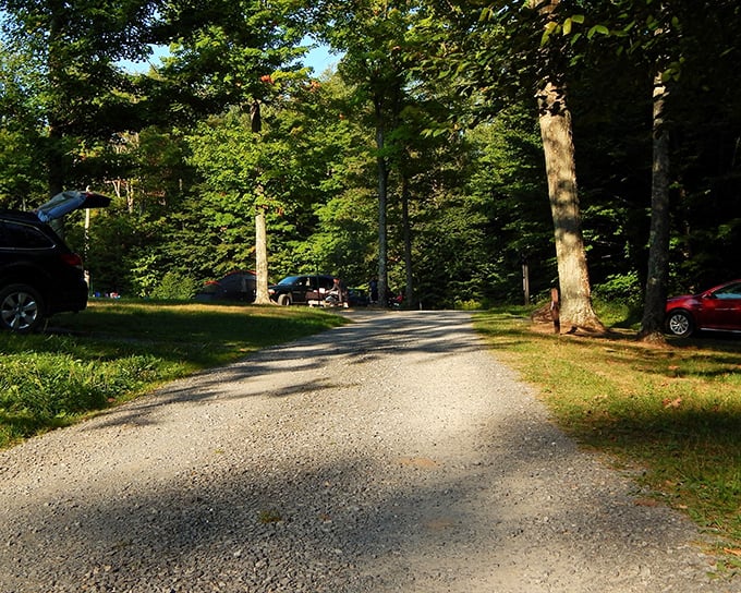 This unassuming gravel path leads to some of the darkest skies on the East Coast. The universe's red carpet awaits.