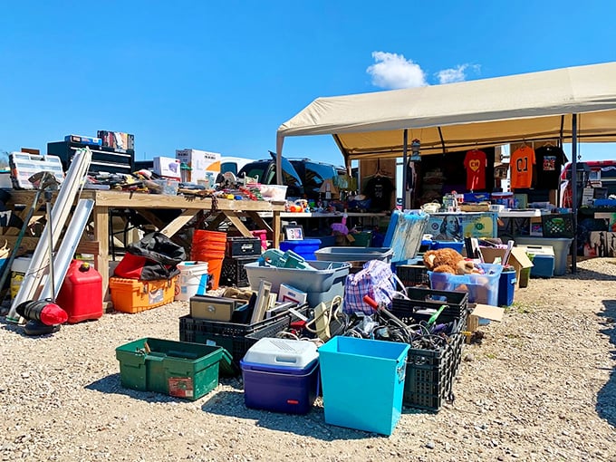 One person's "I don't need this anymore" is another's "I've been looking everywhere for this!" The outdoor section is a treasure hunter's playground.