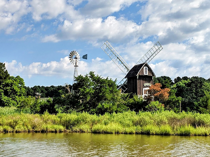 A postcard-perfect scene: Spocott Windmill and its companion water pump windmill create a timeless silhouette against Maryland's waterway backdrop. 