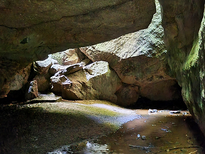 Mother Nature's secret living room, where sunlight plays hide-and-seek with shadows and every drip of water continues the patient sculpture work that began eons ago.