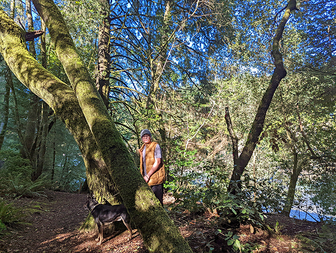 The Riverview Trail offers hikers a front-row seat to nature's greatest show. No ticket required, just comfortable shoes and a sense of wonder.