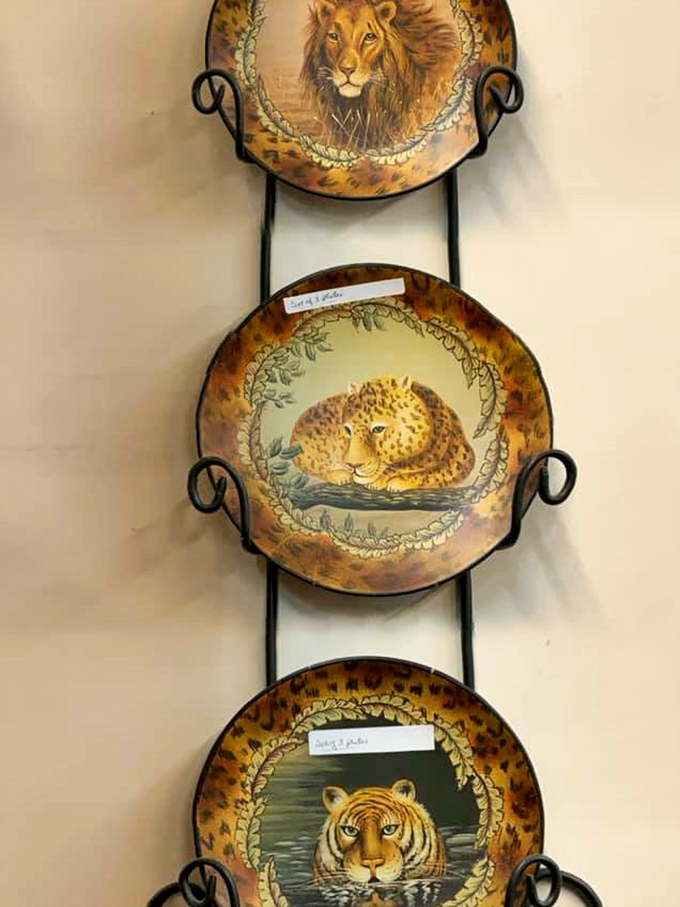 These wild cat plates aren't just decorative&mdash;they're conversation pieces waiting to happen. Perfect for the safari-themed dinner party you never knew you needed.