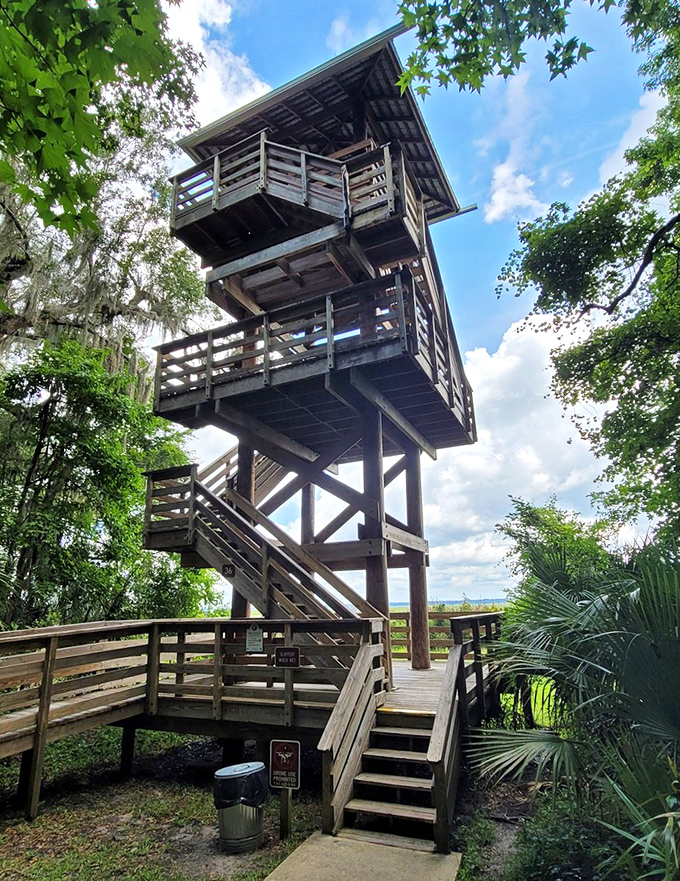This observation tower isn't just a stairway to heaven&mdash;it's your ticket to spotting wildlife while getting your steps in. Fitness with a view! 
