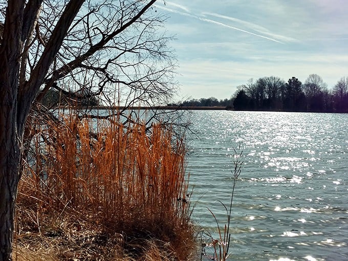 Where the Chesapeake meets the sky &ndash; a watercolor painting come to life, with amber reeds providing the perfect splash of contrast.