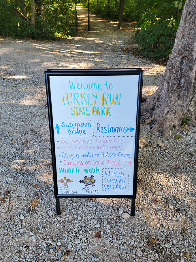 Nature's version of a restaurant menu board. "Today's special: wet feet with a side of adventure, followed by memories that'll last longer than your smartphone battery."