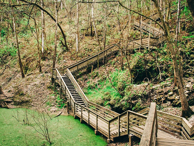 Stairway to heaven? More like stairway to geological wonder. These zigzagging wooden steps lead adventurous visitors 120 feet down into Florida's most dramatic sinkhole.