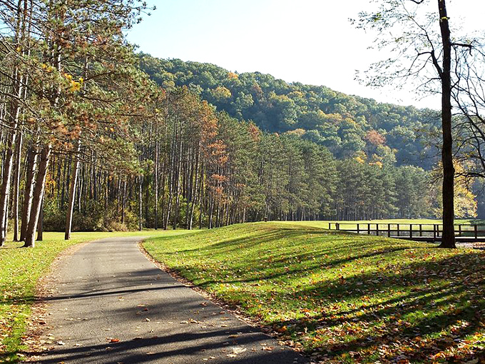 Beaver Creek's pristine waters mirror the surrounding forest in perfect symmetry. Mother Nature showing off her photography skills!