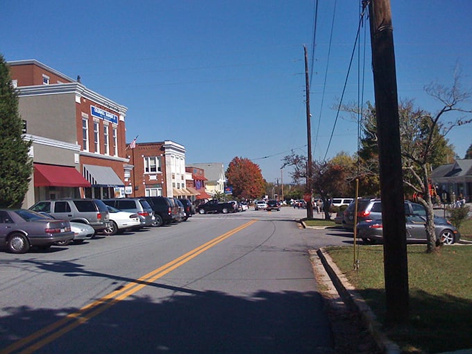 Blue Ridge's main street offers a perfect blend of yesterday and today. Those brick buildings have stories to tell!