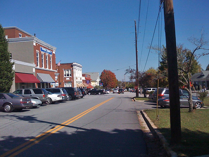 Brick facades and autumn touches! Blue Ridge's downtown looks like it was designed by someone who understands that shopping is better with history.