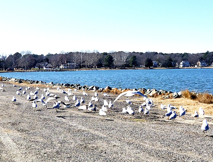 Cambridge's waterfront offers that million-dollar Chesapeake Bay view without the million-dollar price tag. Talk about a bargain with benefits!