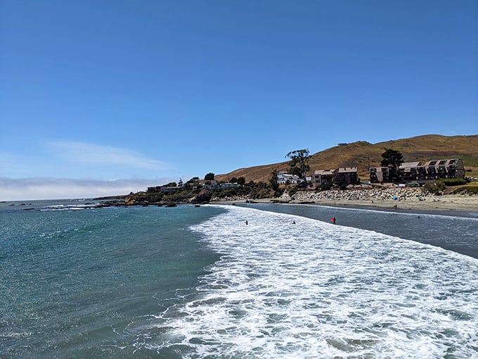 Cayucos from above &ndash; where beach town charm remains delightfully stuck in a time when "viral" only referred to the common cold.
