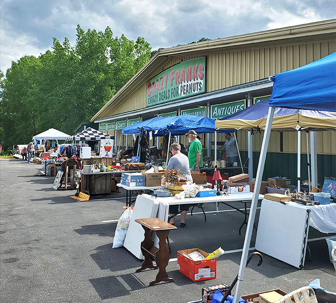 Crazy Frank's: where every aisle promises a new adventure! You never know what quirky treasure you'll unearth here.