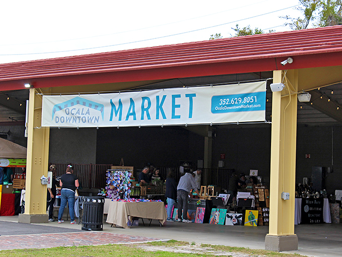 The Ocala Downtown Market transforms into a wonderland of weird during Florida Oddities events. Treasure hunting never felt so delightfully strange!