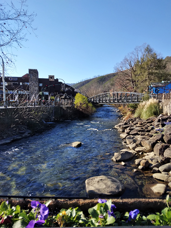 The perfect bridge over troubled water? Gatlinburg's scenic walkways let you experience mountain streams without getting your feet wet.